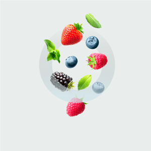 Gelq.it | Prodotti online per la tua gelateria